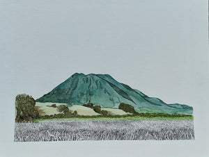 Pūtauaki/Mount Edgecombe – Kristin Ivill Art